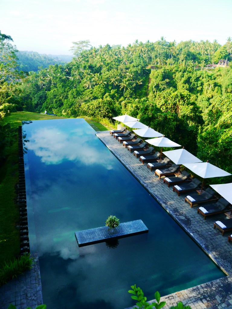 Monkeys, the Jungle and Balinese Culture in Ubud – The Well-Travelled ...