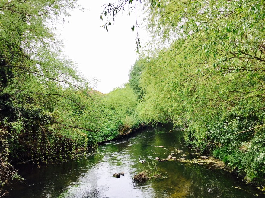 8 reasons why Earlsfield is a great place to live in London – The Well ...