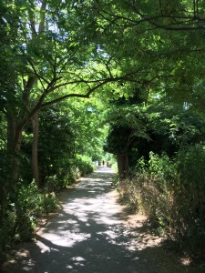 8 reasons why Earlsfield is a great place to live in London – The Well ...